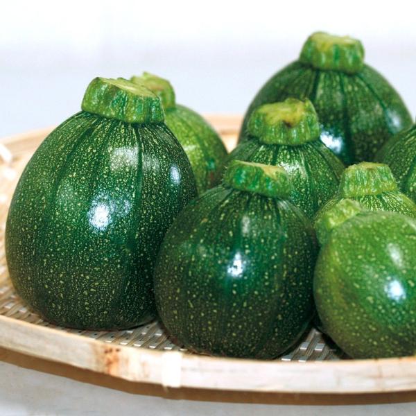 ●商品情報：とびきり美味！　豊産性で、初期から後期まで安定して収穫できる!　ツルが伸びないので、大型プランターや大鉢でも栽培OKなので家庭菜園に最適。●果重（約）：200g●開花から収穫までの日数（約）：3〜5日●お届け状態：種子●入り数：...