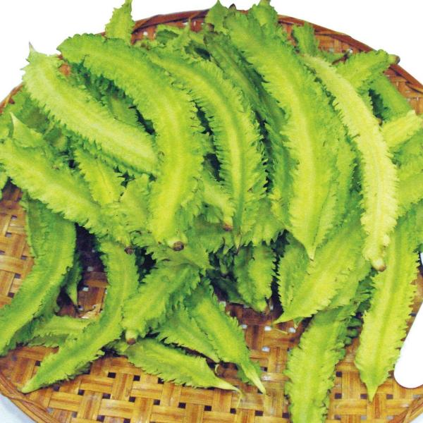 ●商品情報：日長に関係なく開花し、収穫期長い！ 従来のシカクマメは短日にならないと開花しませんが、「わこさま」は日長に関係なく開花するので、従来種より早期から収穫が可能。播種して2ヵ月後くらいから、霜が降りる直前まで収穫し続けられます。従来...