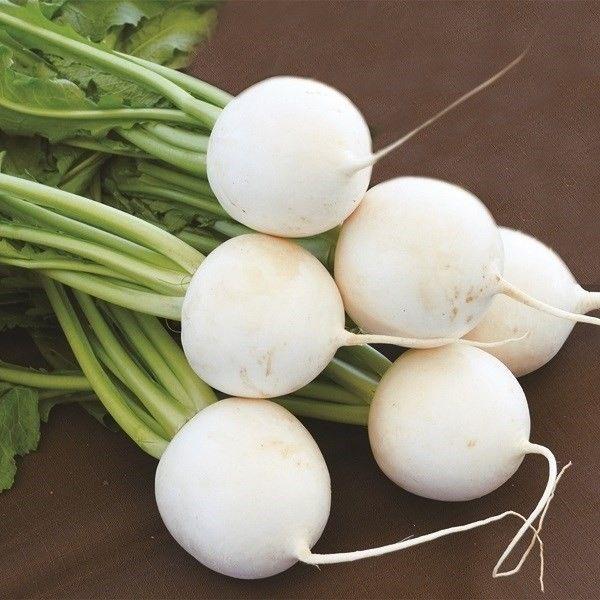 ●商品情報：桃と梨をミックスしたような甘さがあり、生でサラダにすると旨い!!葉カブとしても美味。スが入りにくく、収穫期の幅が広い!金町系の極早生品種。●根径（約）：最大10cm●早晩生：極早生●お届け状態：種子●入数の目安：10mlあたり約...