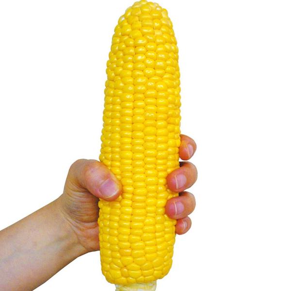 ●商品情報：先端から粒が詰まりやすく、食べ応え満点!　中晩生で収穫まで穂にじっくり糖分をため込むので、糖度約20度にまで達する極甘品種です。粒皮も薄く柔らかで美味。●皮付重（約）：500g●草丈（約）：190cm●早晩生：中晩生●播種から収...