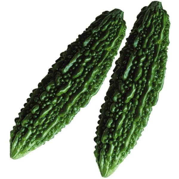 ●商品情報：苦味がマイルドで食べやすい!　大きいものだと800g以上になることも。●果長（約）：25〜35cm●果重（約）：500g●入数の目安：10mlあたり8〜12粒※品種により差があります。●発芽適温：25〜30℃※発芽させるには播種...