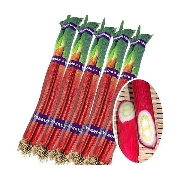 ●商品情報：とろ〜り甘い！ 熱を加えるとすぐに柔らかくなり、とろっとした食感と甘味で、鍋に最高！ 1株が5〜6本に分げつし、寒くなるにつれ赤く色づきます。●軟白部（約）：20cm以上●お届け状態：種子●入り数の目安：10mlあたり約1000...