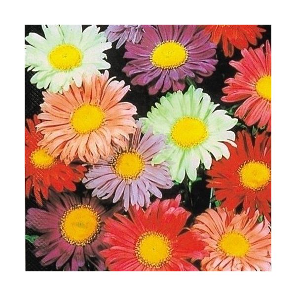 小輪で可愛い●商品情報：切花やアレンジにかかせない、育てやすいアスター!日当たりのよい場所を好みます。連作は避けてください。●お届け状態：種●分類：1年草●花期(約)：8〜9月●草丈(約)：70cm ※種子の粒数はおおよその目安を記載してお...