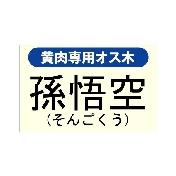 ●商品情報：キウイは品種により開花期がずれるため、それぞれの開花期にあったオス木を近くに植える必要があります。●お届け状態：接木1年生根巻苗●分類：つる性落葉樹●花期(約)：5月上〜中旬(基準:広島県)●日照：日なた●耐寒性：中●栽培適地：...