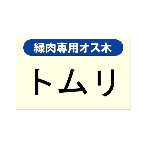 ●商品情報：キウイは品種により開花期がずれるため、それぞれの開花期にあったオス木を近くに植える必要があります。●お届け状態：接木1年生根巻苗●分類：つる性落葉樹●花期(約)：5月中〜下旬(基準:広島県)●日照：日なた●耐寒性：中●栽培適地：...