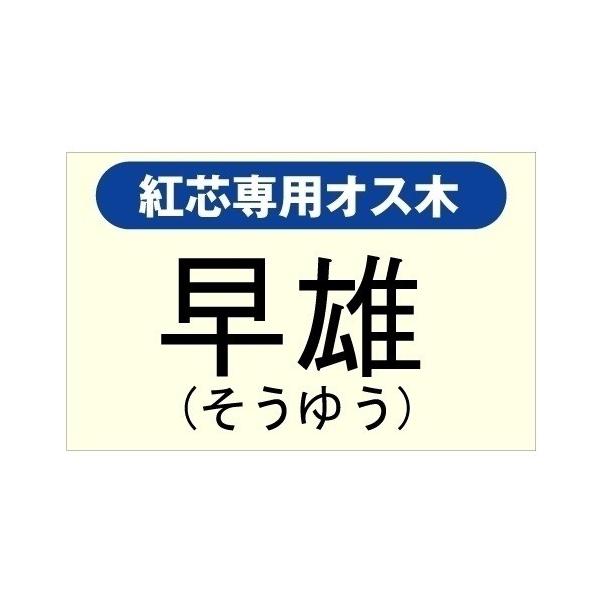 ●商品情報：キウイは品種により開花期がずれるため、それぞれの開花期にあったオス木を近くに植える必要があります。●お届け状態：接木1年生根巻苗●分類：つる性落葉樹●花期(約)：4月下旬〜5月上旬(基準:広島県)●日照：日なた●耐寒性：中●栽培...