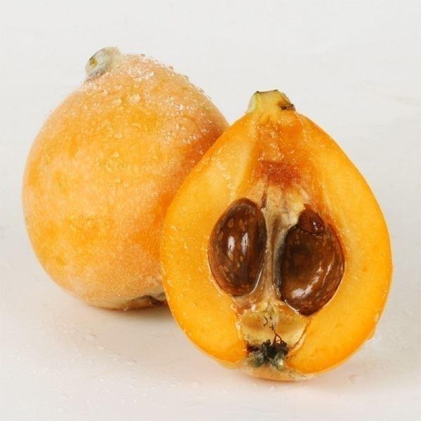 ●商品情報：バラ科の常緑樹。果肉やわらかく糖度約12度と甘くて旨いビワ! 平均果重62gで、果肉が厚いのでボリューム満点!! 「茂木」より大きく、甘く、やわらかい優秀品種で、しかも豊産性！！漢字・別名：枇杷、小匏(コフクベ)、蘆橘(ロキツ)...