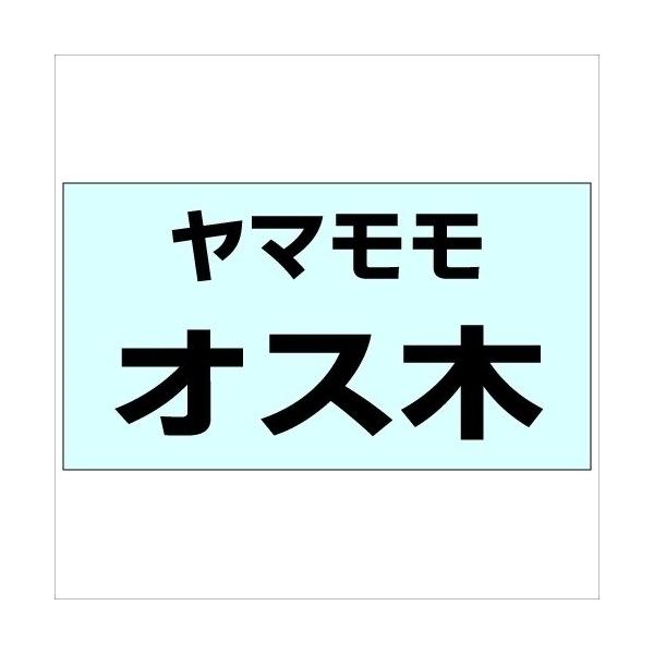 ●商品情報：ヤマモモのメス木の近くにオス木がない場合は植えてください。●お届け状態：接木1年生根巻苗●分類：常緑樹●生長後の樹高(約)：3〜4m●日照：日なた●耐寒性：中/冬は霜除けしてください●栽培適地：庭・鉢