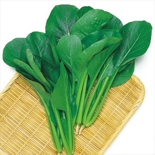 ●商品情報：抜群の育てやすさ！暑さ・寒さ・病気に強く、揃い・株張りよく生育も早いと文句なしの優秀品種。ビタミンなどの栄養が豊富で美味しい。●お届け状態：種子●備考：※播種や植え付け後の栽培条件、天候等によりその結果が異なることがありますが、...
