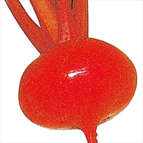 ●商品情報：北海道の伝統野菜寒さに強く、肉質緻密で甘味たっぷりの赤かぶ。●根径（約）：10cm●お届け状態：種子●入り数の目安：10mlあたり約1000〜1500粒入り※品種により差があります。●発芽適温：20〜25℃※発芽させるには播種床...
