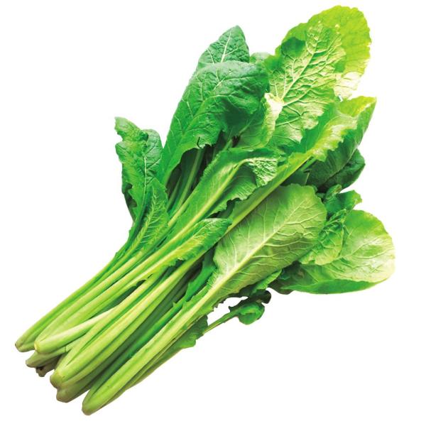 ●商品情報：長野の伝統野菜茎・葉ともに柔らかくて、風味が良い。漬物にすると美味！●お届け状態：種子●備考：※播種や植え付け後の栽培条件、天候等によりその結果が異なることがありますが、弊社の責と考えられる結果不良の責めはお買い上げ代金の範囲内...