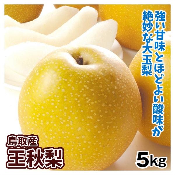 ●商品情報：上品な食感と甘味、程よい酸味が絶妙な晩生の大玉梨。●産地：鳥取県●規格・サイズ：-●入数の目安：5kgあたり5〜11玉●配送形態：段ボール箱●配送温度：常温便●備考：●送料：通常配送：送料無料北海道・沖縄：1箱（組）ごとに1500円