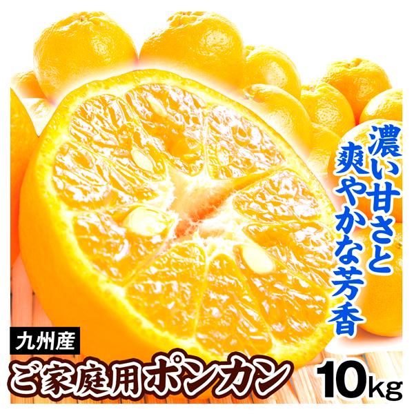 ●商品情報：南国果物らしい芳醇な香りと濃厚な甘味！みかんより強い甘味とコク、香しい独特の芳香が特長で、温州みかんのように皮が手でむけ食べやすく、柔らかな果肉も魅力です。●産地：九州●規格・サイズ：S〜2L混合●入数の目安：-●配送形態：段ボ...