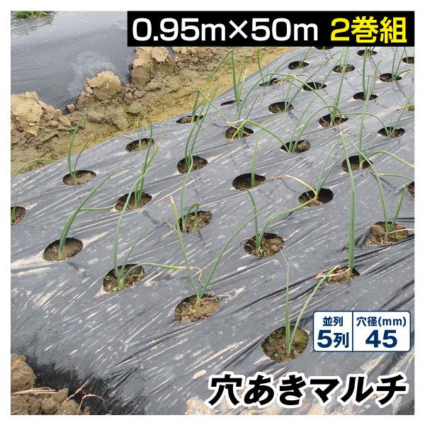 【発売日：2014年06月09日】サイズ豊富!植え付け用穴付きで便利!商品情報●サイズ(約):幅:0.95m、長さ:50m、株間:15cm、条間:15cm、穴径:45mm 並列5列、厚さ:約0.02mm ●材質:ポリエチレン製●性能:地温上...