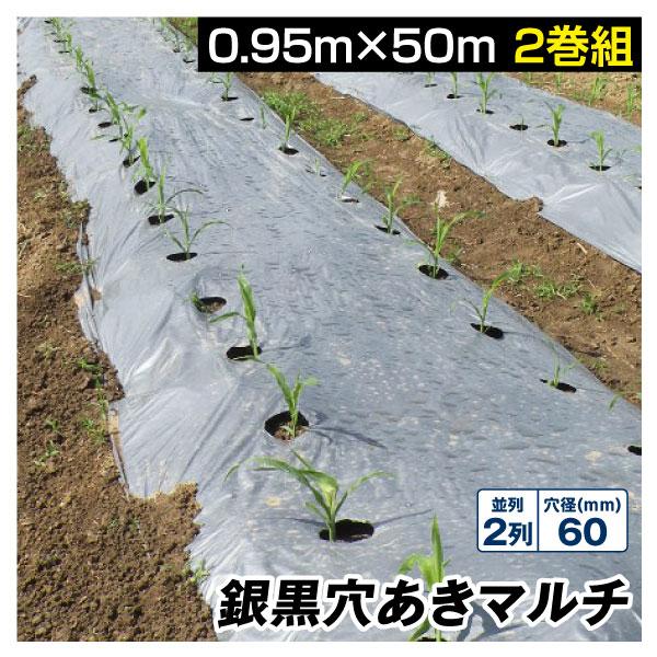 【発売日：2014年06月09日】サイズ豊富!植え付け用穴付きで便利!商品情報●サイズ(約):幅:0.95m、長さ:50m、株間:30cm、条間:45cm、穴径:60mm 2列、厚さ:約0.025mm●材質:ポリエチレン製●性能:地温抑制・...