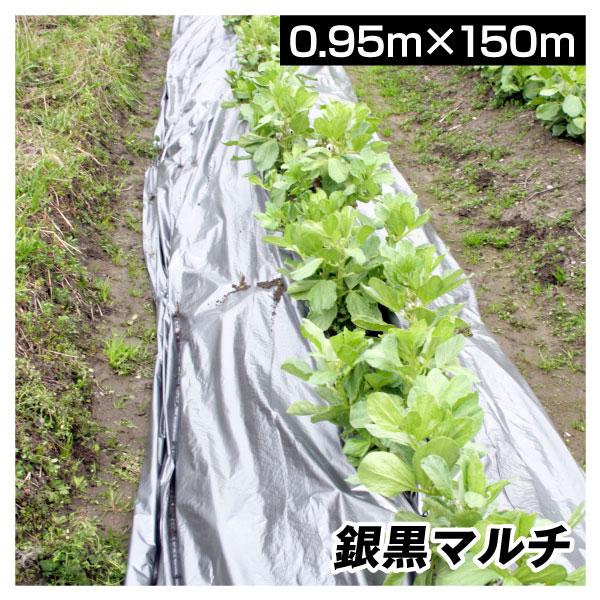 【発売日：2016年01月22日】地温を抑制し、着色も促進!さらに防虫・防草も!●商品情報:銀反射が地温を抑制、着色促進!　飛来害虫も防止します。●サイズ:厚さ:約0.025mm ●材質:ポリエチレン製●性能:地温抑制・着色促進・防虫・防草...