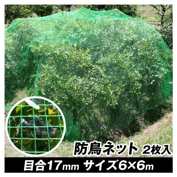 【発売日：2016年01月22日】●商品情報豊富なサイズ展開で果樹にかぶせたり、畝ごと覆ったり、色々使えます!切ってもホツレにくい!糸が6本よってあるので軽くて丈夫!●サイズ（約）：幅6m×長さ6m●目合（約）：17mm●カラー：緑●材質：...