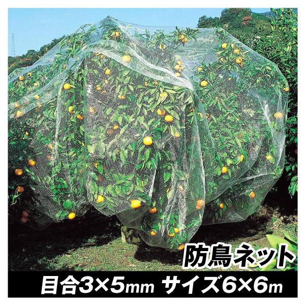 【発売日：2016年01月22日】●商品情報木を丸ごと守る!透光率95%で光を遮らない!●サイズ（約）：幅6×長さ6m●目合（約）：3×5mm●材質：ポリエチレン製●性能：防鳥・防蛾●備考取付ロープ3m付※鳥獣保護及び狩猟に関する法律を順守...