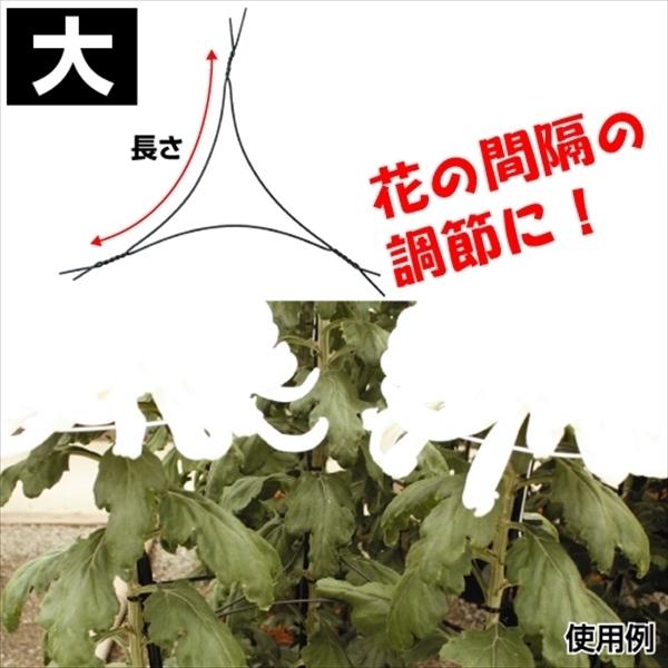 【発売日：2014年06月09日】花の間隔の調整に!商品情報サイズ約:長さ28cm