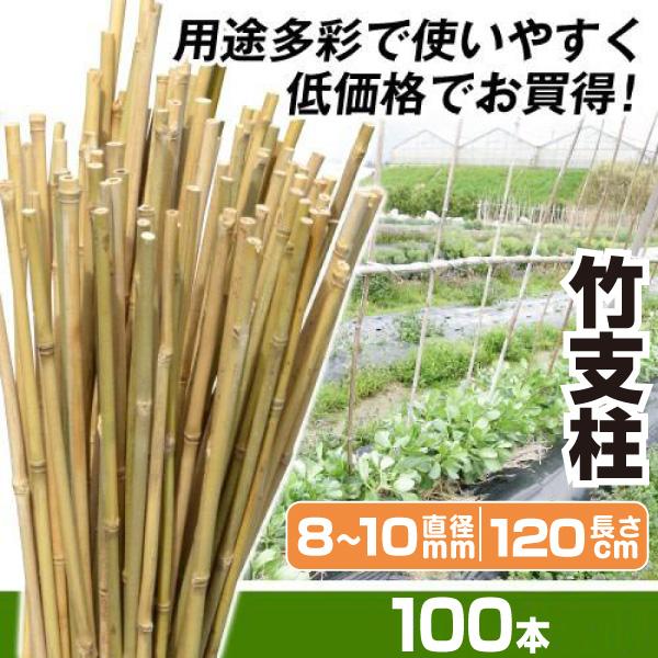 商品情報とにかく安い!大量使いにおススメです!用途多彩!腐りにくく丈夫で長持ち！トマト・キュウリ・メロン・ピーマン・ナス・オクラ・ブロッコリー・菊・カーネーション・観葉植物・梨・桃・みかん・ぶどう等の誘引に。● サイズ : 長さ 120cm...