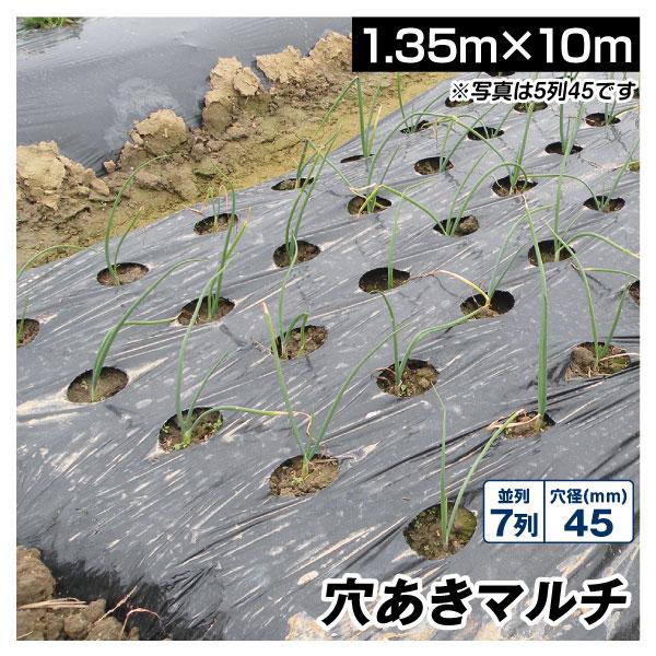 【発売日：2017年06月19日】ご要望の声にお応えしてマルチ、穴あきマルチの少量使い切りサイズをご用意しました！余らず使えてお求めやすく、小さな圃場や家庭菜園でのご利用に最適です。●商品情報:サイズ豊富!植え付け用穴付きで便利!●厚さ(約...
