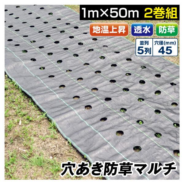 【発売日：2017年06月01日】お気軽防草シートに植え付け用穴付きタイプが新登場!サイズ豊富で、作物に合わせて選べます!●商品情報:国華園でも大人気の『お気軽防草シート』にマルチ用の穴をあけました!防草性能が高く、透水性にも優れます。等間...