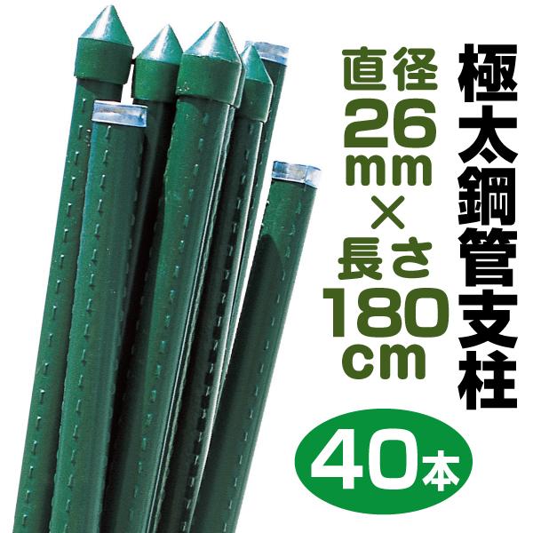 【発売日：2022年08月30日】●商品情報防獣ネットなどを張るのに便利なイボ付支柱! 一端は地面にさし込みやすいとがったキャップ付きで、もう一端はハンマーで打ち込みやすい金具付き!!丈夫＆極太で使い勝手抜群の鋼管製杭。●サイズ(約)：長さ...