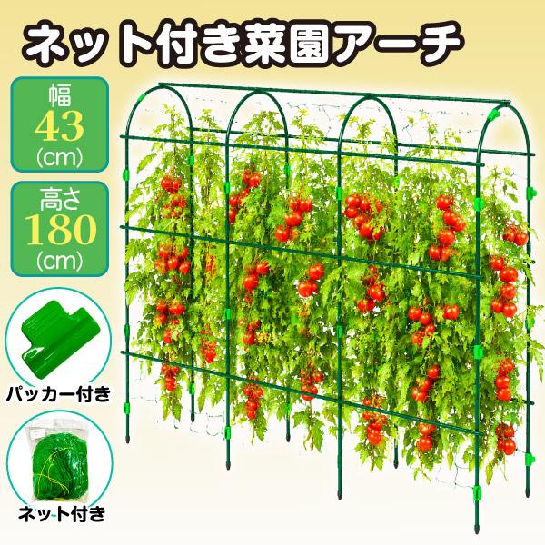 ●ネット付きですぐ使える！工具いらずで組立簡単！　キュウリ、エンドウ、インゲンなどのつる野菜の栽培にオススメ！　省スペースな空中栽培が可能です。●【サイズ】(約):幅43×奥行180×高さ180cm、16mmパイプ  【付属品】ネット・パッカー