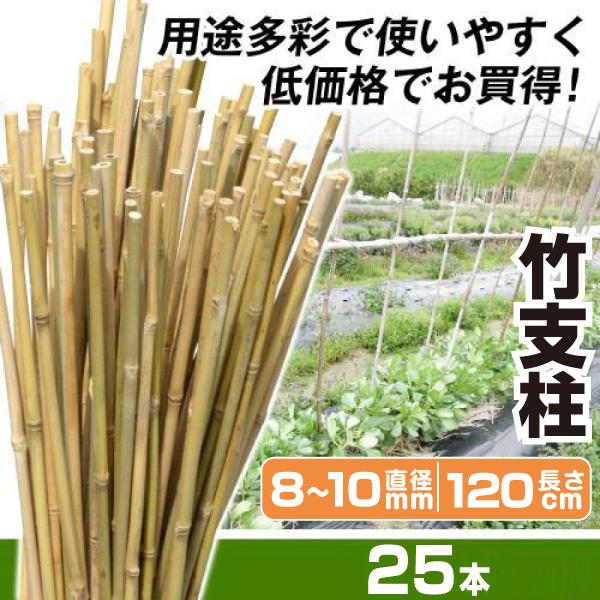 商品情報とにかく安い!大量使いにおススメです!用途多彩!腐りにくく丈夫で長持ち！トマト・キュウリ・メロン・ピーマン・ナス・オクラ・ブロッコリー・菊・カーネーション・観葉植物・梨・桃・みかん・ぶどう等の誘引に。● サイズ : 長さ 120cm...