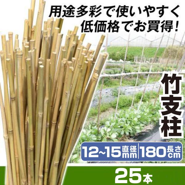 【発売日：2017年04月01日】商品情報とにかく安い!大量使いにおススメです!用途多彩!腐りにくく丈夫で長持ち！トマト・キュウリ・メロン・ピーマン・ナス・オクラ・ブロッコリー・菊・カーネーション・観葉植物・梨・桃・みかん・ぶどう等の誘引に...