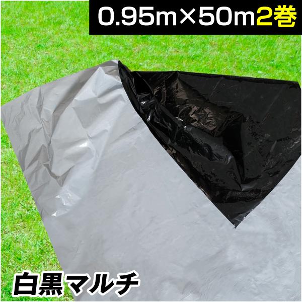 【発売日：2016年01月22日】●商品情報:地温上昇を抑制、雑草防除効果も兼ねた機能性マルチリバーシブルタイプだから、用途に合わせて使い分け可能！白：太陽光を反射することで地温の上昇を抑制します。黒：太陽光を吸収し、低温時に地表を保温しま...