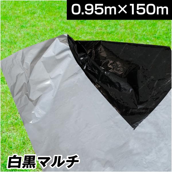 【発売日：2016年01月22日】●商品情報:地温上昇を抑制、雑草防除効果も兼ねた機能性マルチリバーシブルタイプだから、用途に合わせて使い分け可能！白：太陽光を反射することで地温の上昇を抑制します。黒：太陽光を吸収し、低温時に地表を保温しま...