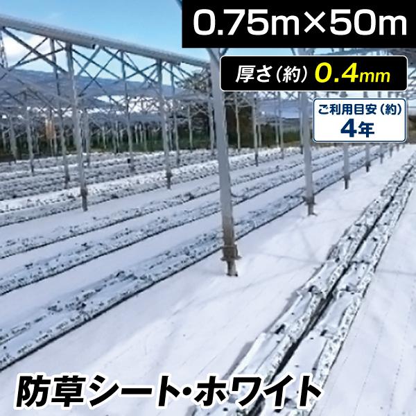 【発売日：2022年05月21日】●商品情報イチゴやミニトマトの栽培に最適！●太陽光の反射に優れた白色！●遮熱性があり、地温上昇を抑制！●材質：ポリプロピレン製●厚さ(約)：0.4mm●性能：防草・透水●ご利用目安：約4年 ※耐用年数は目安...