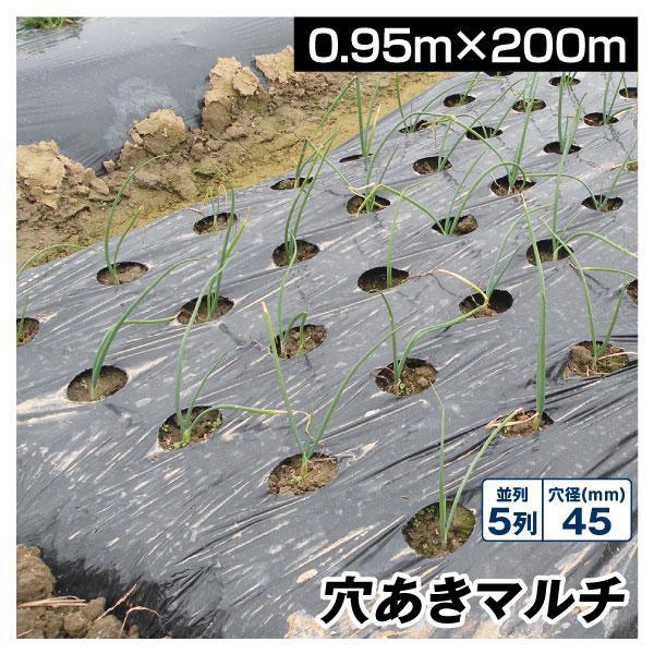 【発売日：2019年08月29日】●商品情報サイズ豊富!植え付け用穴付きで便利!●厚さ(約)0.02mm●サイズ幅:0.95m、長さ:200m、株間:15cm、条間:15cm、穴径:45mm 並列5列●材質ポリエチレン製●性能地温上昇・防草...