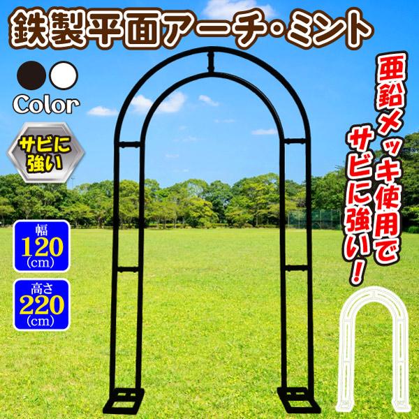 【発売日：2024年08月28日】商品情報 :亜鉛メッキ使用でサビに強く耐久性抜群！平面型なので通常のアーチと比べ、場所を取らずに楽しめ、　お庭を立体的に演出します。ハンギングも楽しめる!サイズ (約) : 幅120(間口85)×高さ220...