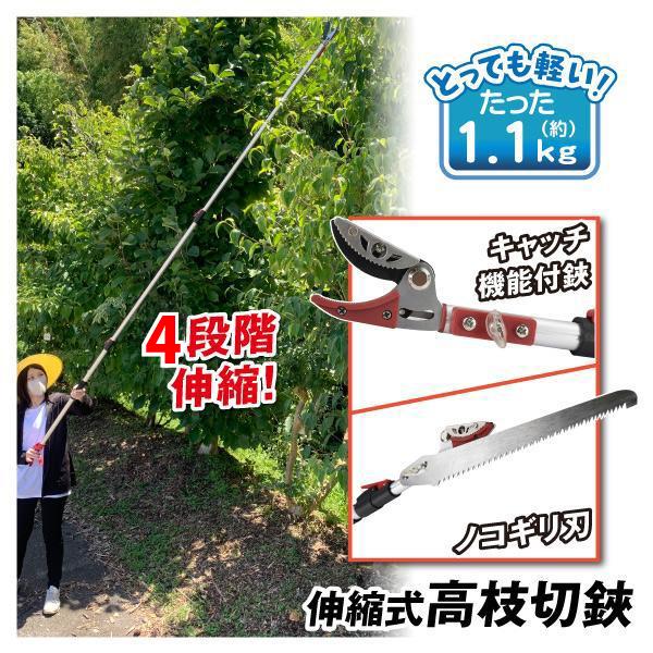 【発売日：2022年08月02日】伸縮式高枝切鋏商品情報切れ味バツグン!可動式キャッチ機能&amp;太枝用鋸付き!長さは4段階に調節可能！サイズ(約)約:全長1.37〜3m、刃渡り:はさみ/5.5cm、ノコギリ/22.5cm【切断可能直 7...
