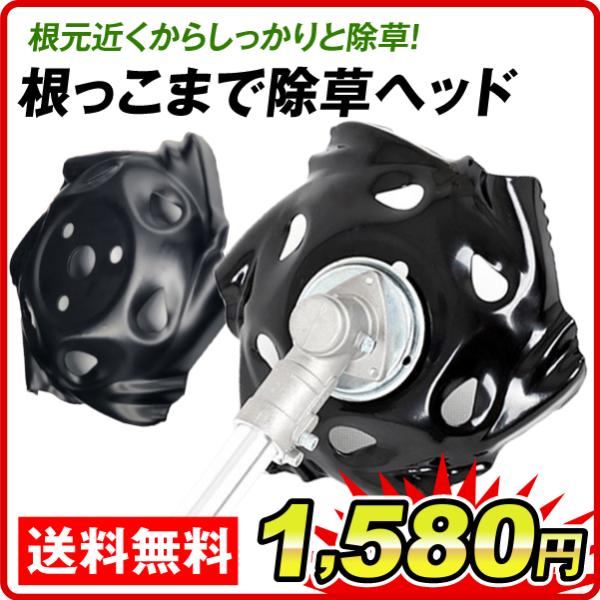 【発売日：2019年08月29日】●商品情報