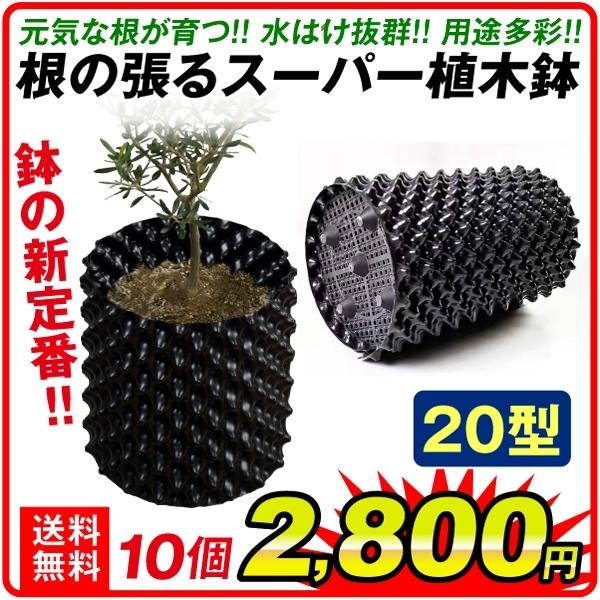 商品情報1本の根だけが植木鉢の内側に沿って伸び続ける「サークリング」を抑制。よく分岐した健康的な根を育てます!       また、分解してコンパクトに収納できる点なども便利です。材質PET サイズ直径20×高さ20（cm）土の充填量約4L備...
