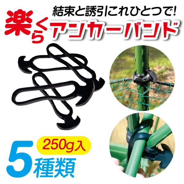 【発売日：2022年05月21日】●商品情報結束と誘引がこれ一つで！支柱の結束や農作物の誘引に！直射日光や大気中のオゾン、雨、風に優れたEPDM性合成ゴムです。直射日光・雨・風に強く、安心！●内容量：250g