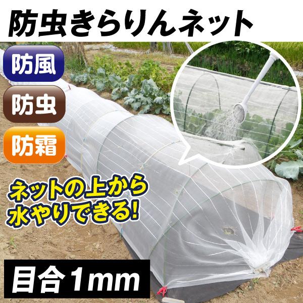 光・空気・水はよく通し、虫は通さない!銀色ライン入りのネット!●商品情報:目合の細かいネットには虫が嫌う銀色のライン入り!銀色反射で特に飛来害虫への防虫効果が高い!光・空気・水を良く通すので、定植〜収穫まで張ったままでOK!風よけや霜よけと...