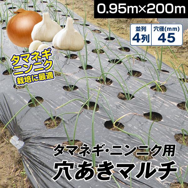 ●商品情報タマネギ・ニンニク栽培用の穴あきマルチ！穴あき済だから届いてすぐ使える！●厚さ(約)0.03mm●サイズ幅:0.95m、長さ:200m、株間:15cm、条間:15cm、穴径:45mm 並列4列●材質ポリエチレン製●性能地温上昇・防...