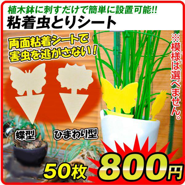 【発売日：2014年06月09日】●商品情報簡単設置！植木鉢に刺すだけ！色は虫の好む黄色を採用しています。両面粘着シートで触れたらすぐにくっつくので、害虫が逃げるのを防ぎます。●サイズ（約）：8×13（cm）・1枚あたり●入り数：50枚(蝶...