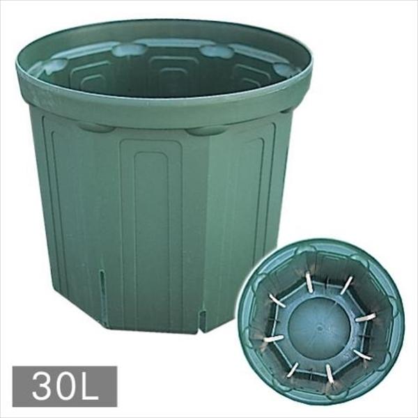 【発売日：2022年01月07日】●商品情報考え抜かれた機能性抜群の鉢! 根巻きを防ぎ、生長を促進!根の「角に集まる性質」を利用し、8角の形と側面に施した約1ミリの段差によって、根を下に誘導し、横に回りにくくします! 鉢底のスリットで排水性...