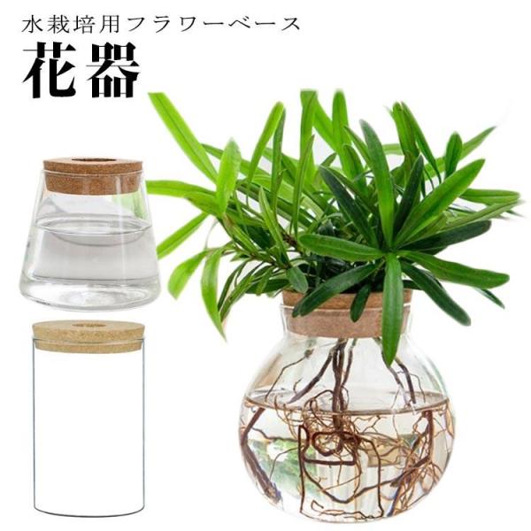 水栽培用フラワーベース植物が水の中で育っていく美しい過程を楽しめる花器。土を使わないので、テーブルやキッチンでも汚れを気にせずクリーンに愉しめます。コンパクトなサイズのため、ちょっとしたスペースにも置くことができ、小さめの生花やドライフラワ...