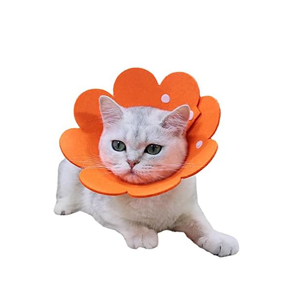 オレンジ/-/apettogo312・MaterialType:SPatternName:オレンジ・1.本製品は、天然素材のフェルトを使用しています。 素材はソフトで軽量、安全で無害なものを使用しています。 ペットの負担を軽減することができ...