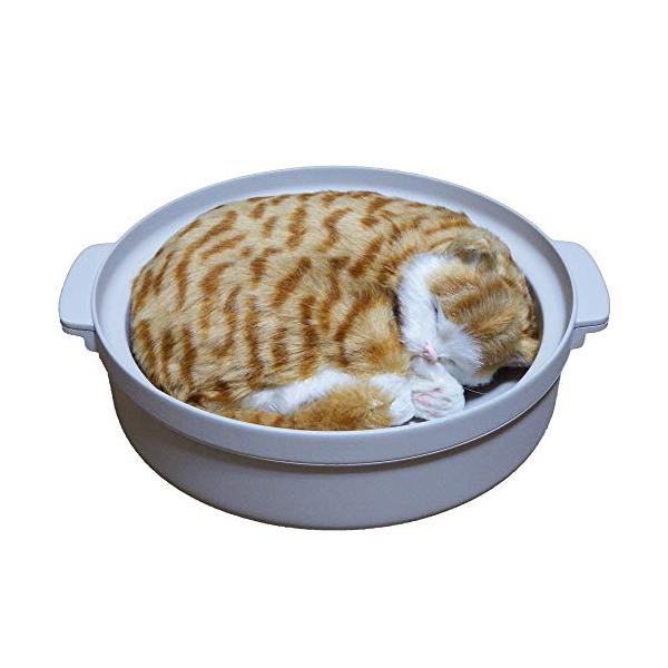 -/ワンサイズ/-・パッケージ個数:2