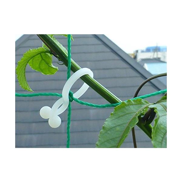 -/中/-・パッケージ個数:20・つる・茎の誘引が手軽にでき、植物を絞め付けずにキープできる、ワンタッチクリップ。ネットにひっかけて、ひねって閉じるだけ。緑のカーテンや、家庭菜園での作業がスピーディーにできます。・根元や太めの茎にも使える、...