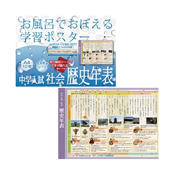 パッケージ個数:1・A4 10枚をつなげると横幅約2.1mの大型年表になります。・歴史に興味を持つきっかけづくりに・サイズA4（210mm×297mm）/数量10枚・材質ポリプロピレン/製造国日本・暗記シート（赤）付き