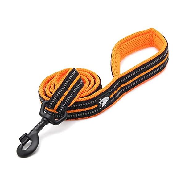 1.1m XSオレンジ/110x1.0センチメートル (x 1)/2111・Color:オレンジSize:110x1.0センチメートル (x 1)・サイズ：長さ110ｃｍ　幅1ｃｍ　XSサイズは小型犬をお勧めます。推薦体重5kgまで・柔軟性...