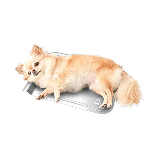 2021年版-/M/W26169・Size:MStyle:2021年版・パッケージ個数:1・本体サイズ (幅X奥行X高さ) :29×2.5×46.5cm・本体重量:0.5kg・原産国:中華人民共和国